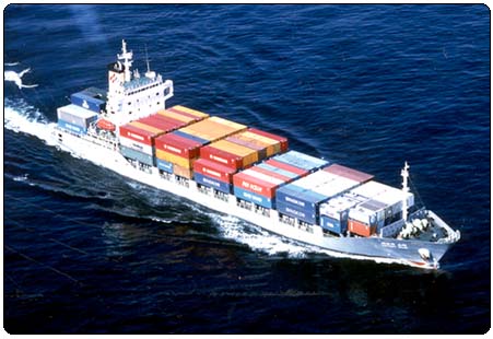 Argo Packing and Shipping services